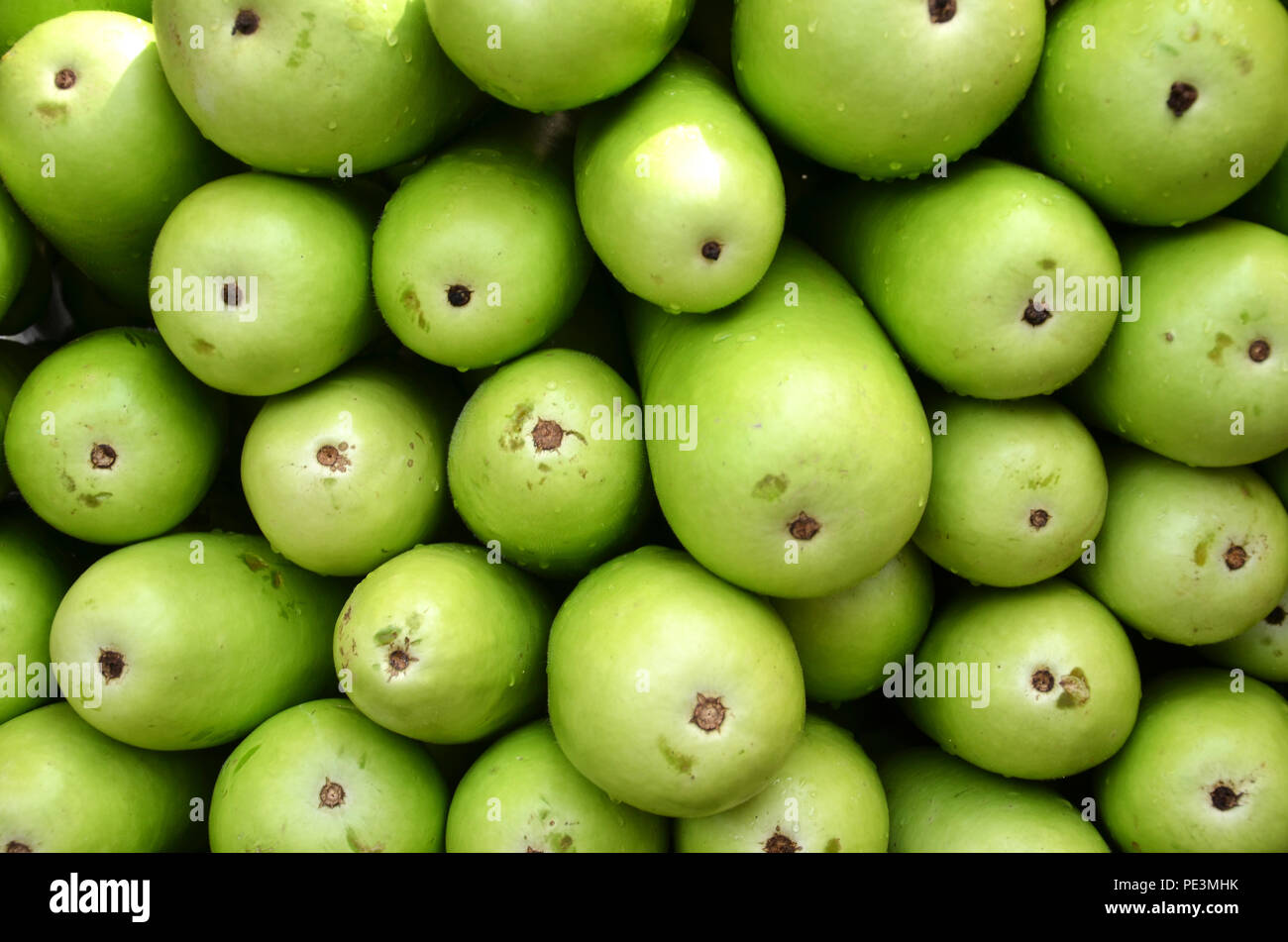 Raw green Calabash on display at Vegetable and Fruit Stall of Local ...