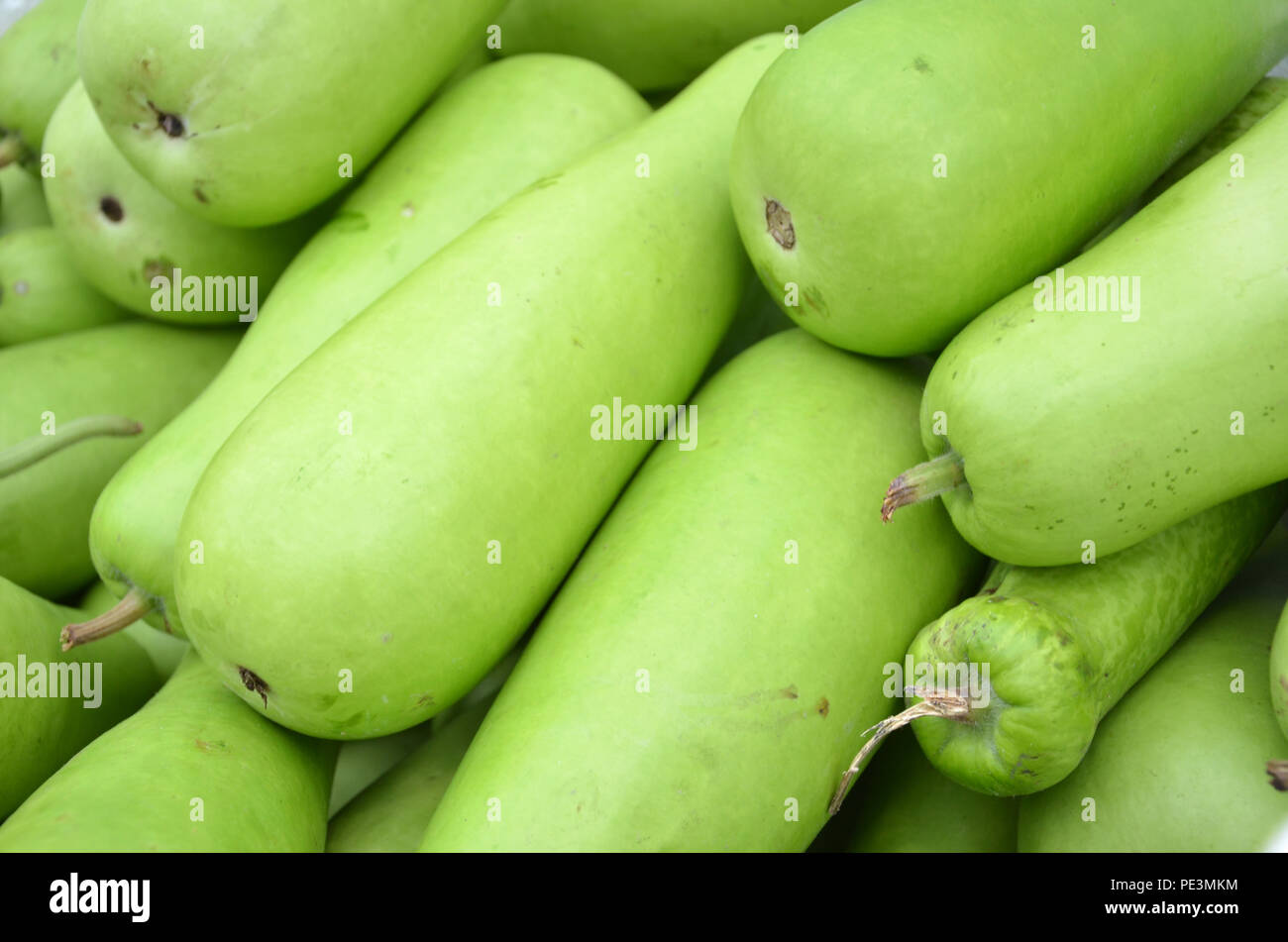 Raw green Calabash on display at Vegetable and Fruit Stall of Local ...