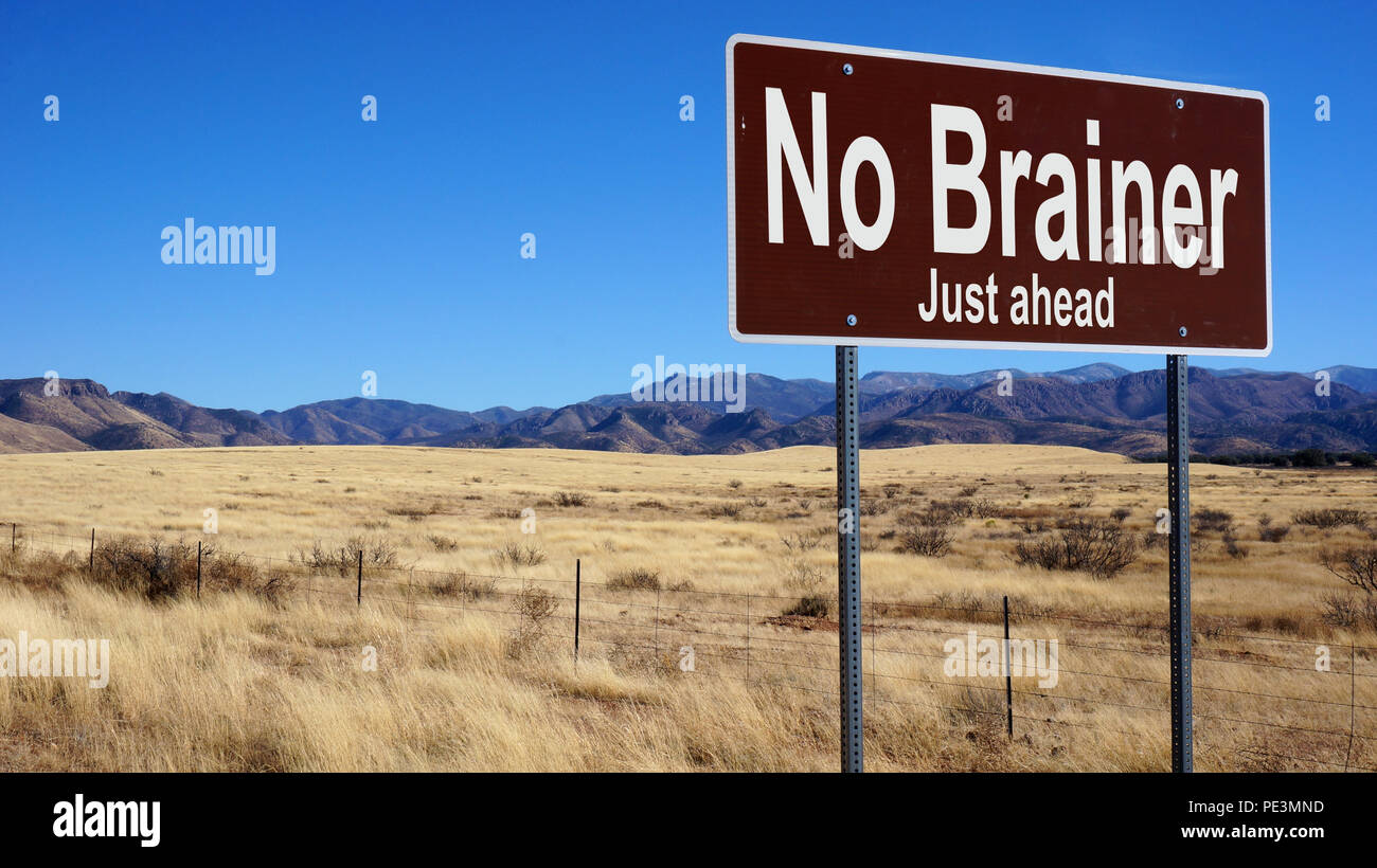 No Brainer brown road sign with blue sky and wilderness Stock Photo - Alamy