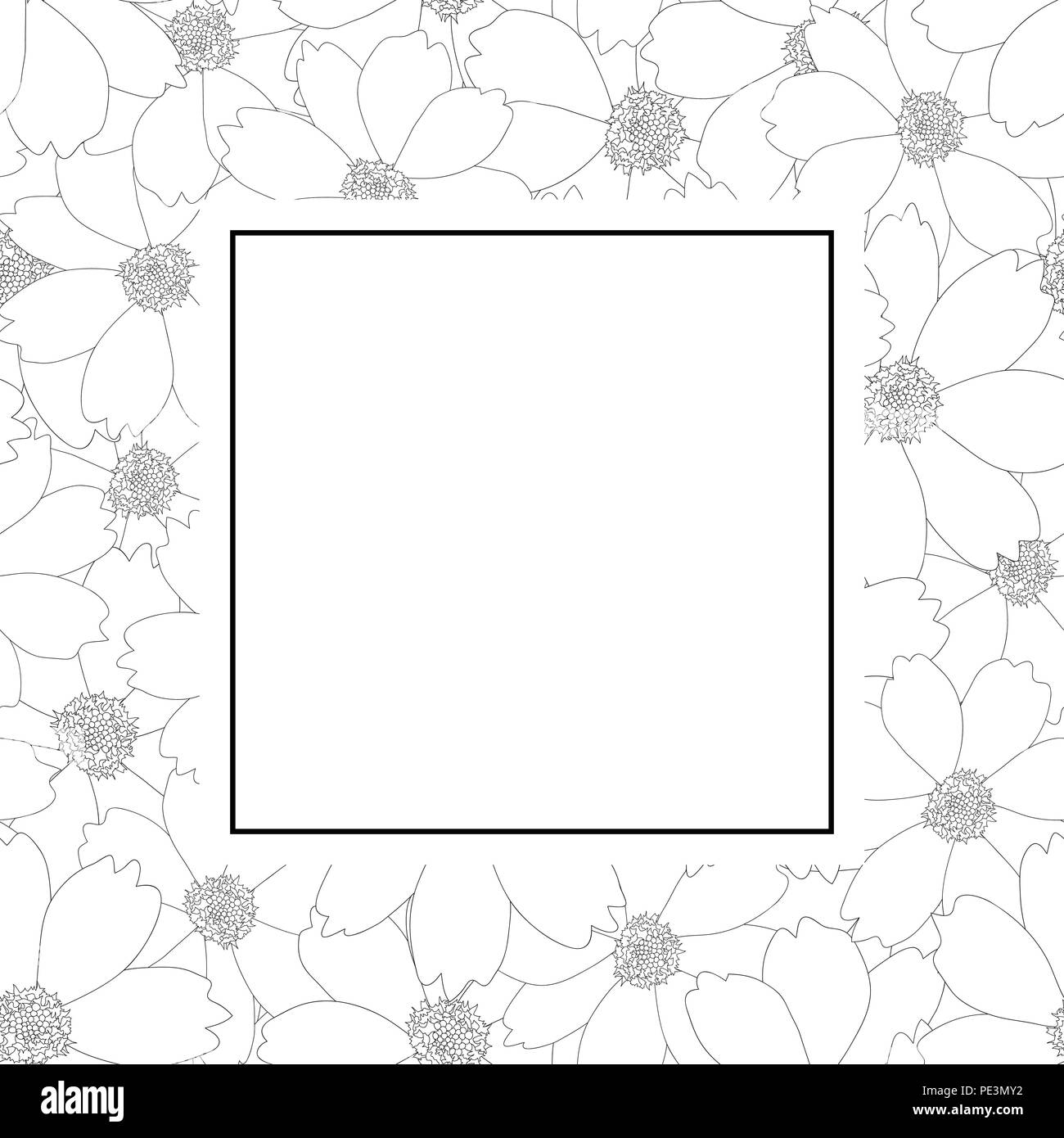 Cosmos flower vector Black and White Stock Photos & Images - Alamy