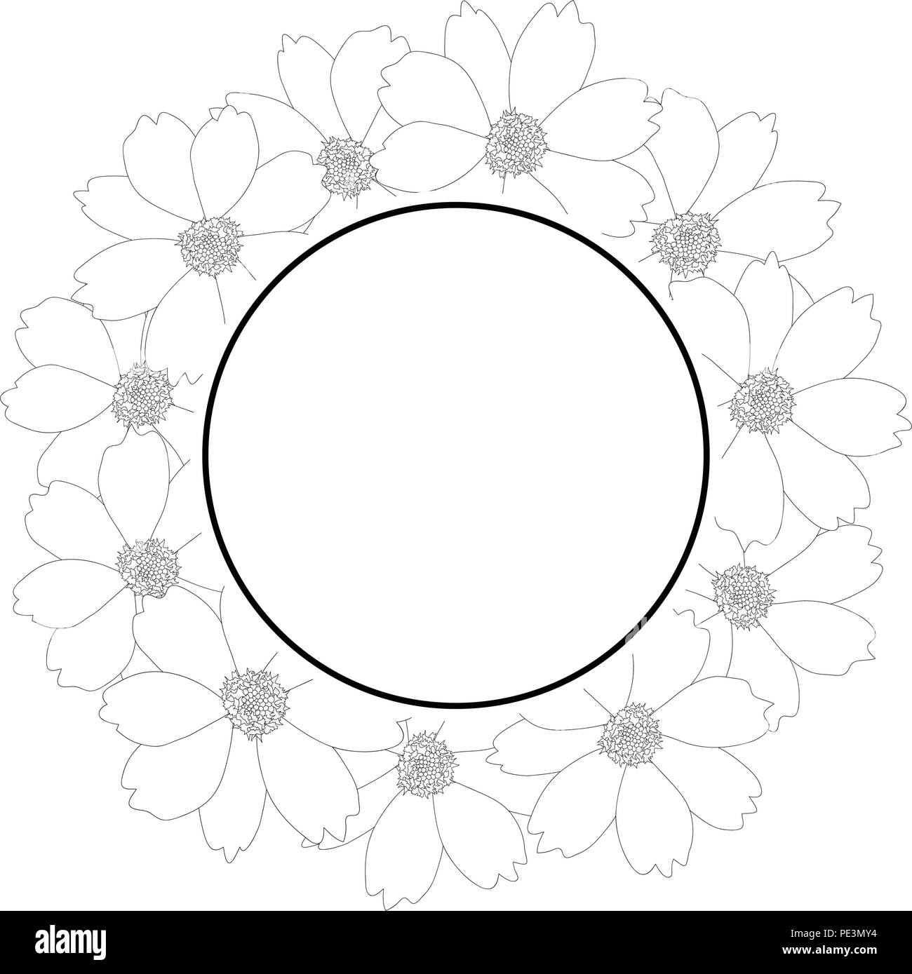 Cosmos flower vector Black and White Stock Photos & Images - Alamy