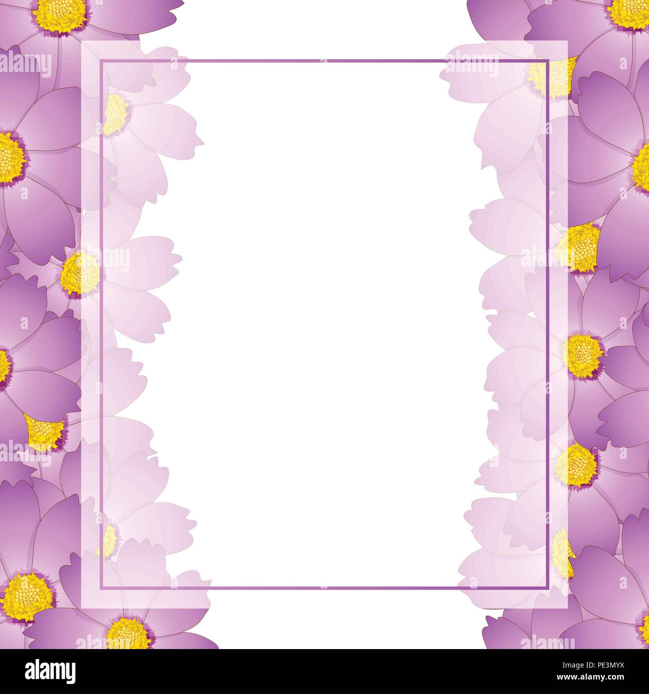 Summer flower border cosmos Stock Vector Images - Alamy