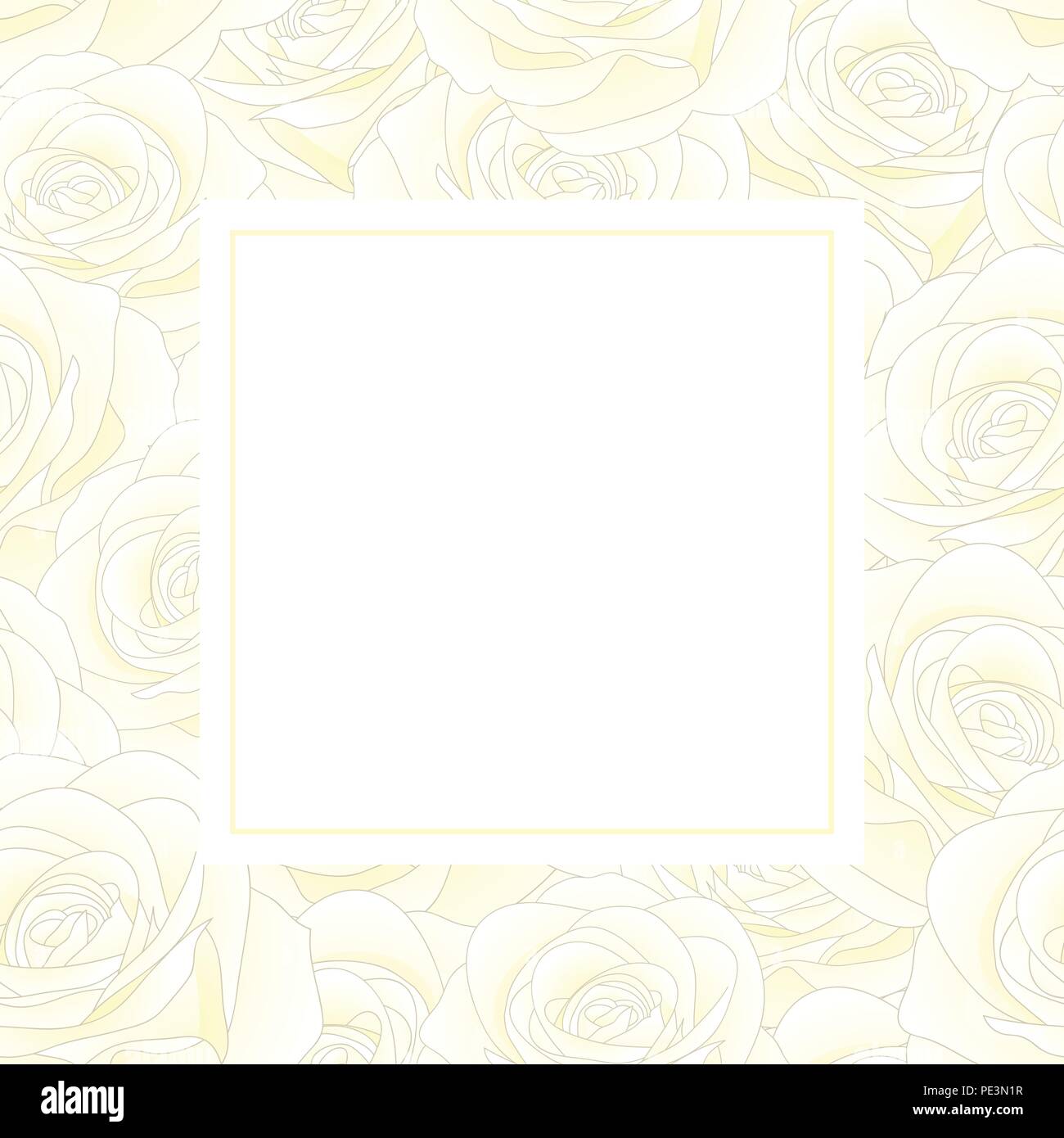 White Rose - Rosa Banner Card. Valentine Day. Vector Illustration Stock ...