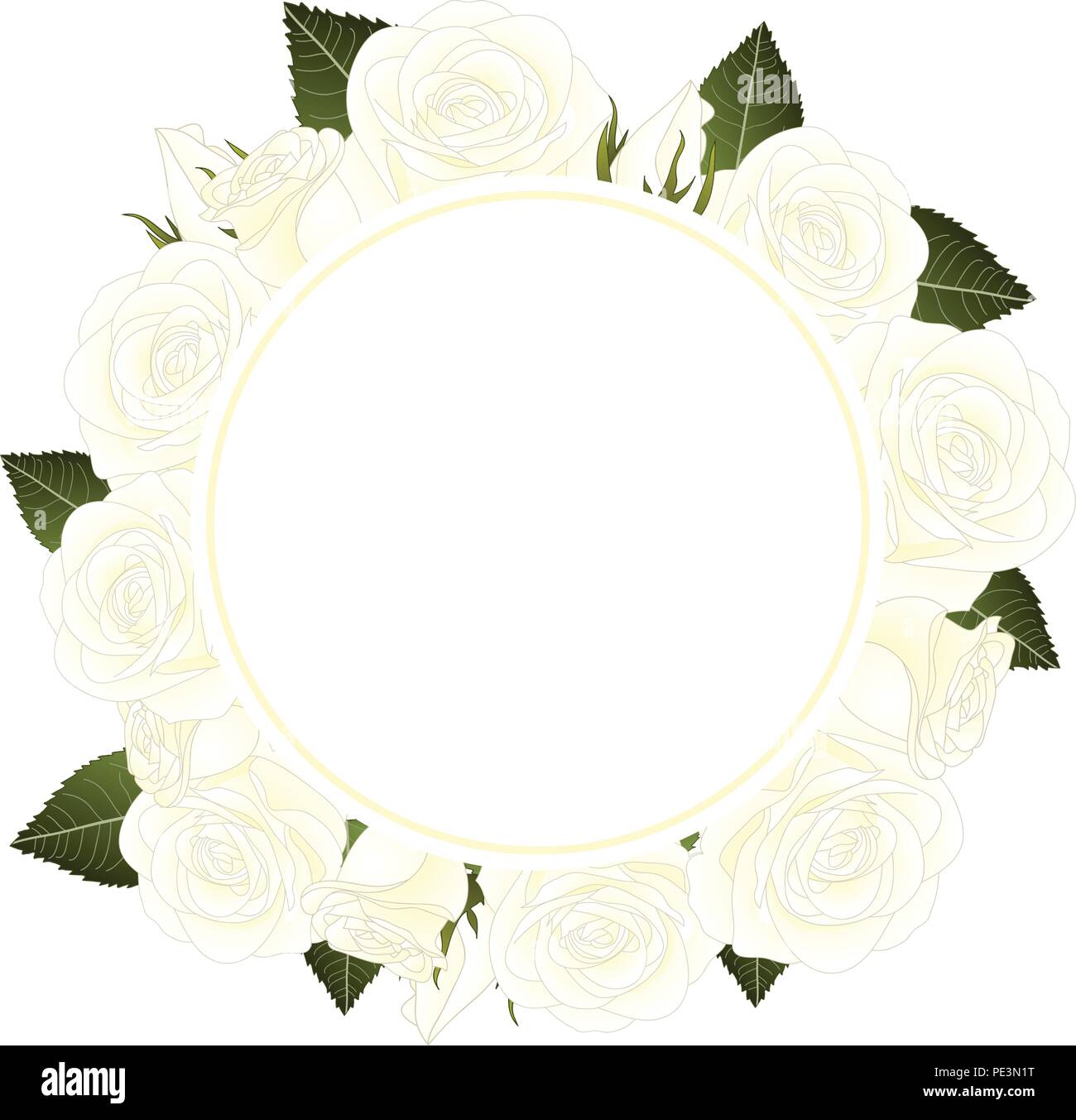 White Rose Flower Banner Wreath. isolated on Red Background. Vector ...