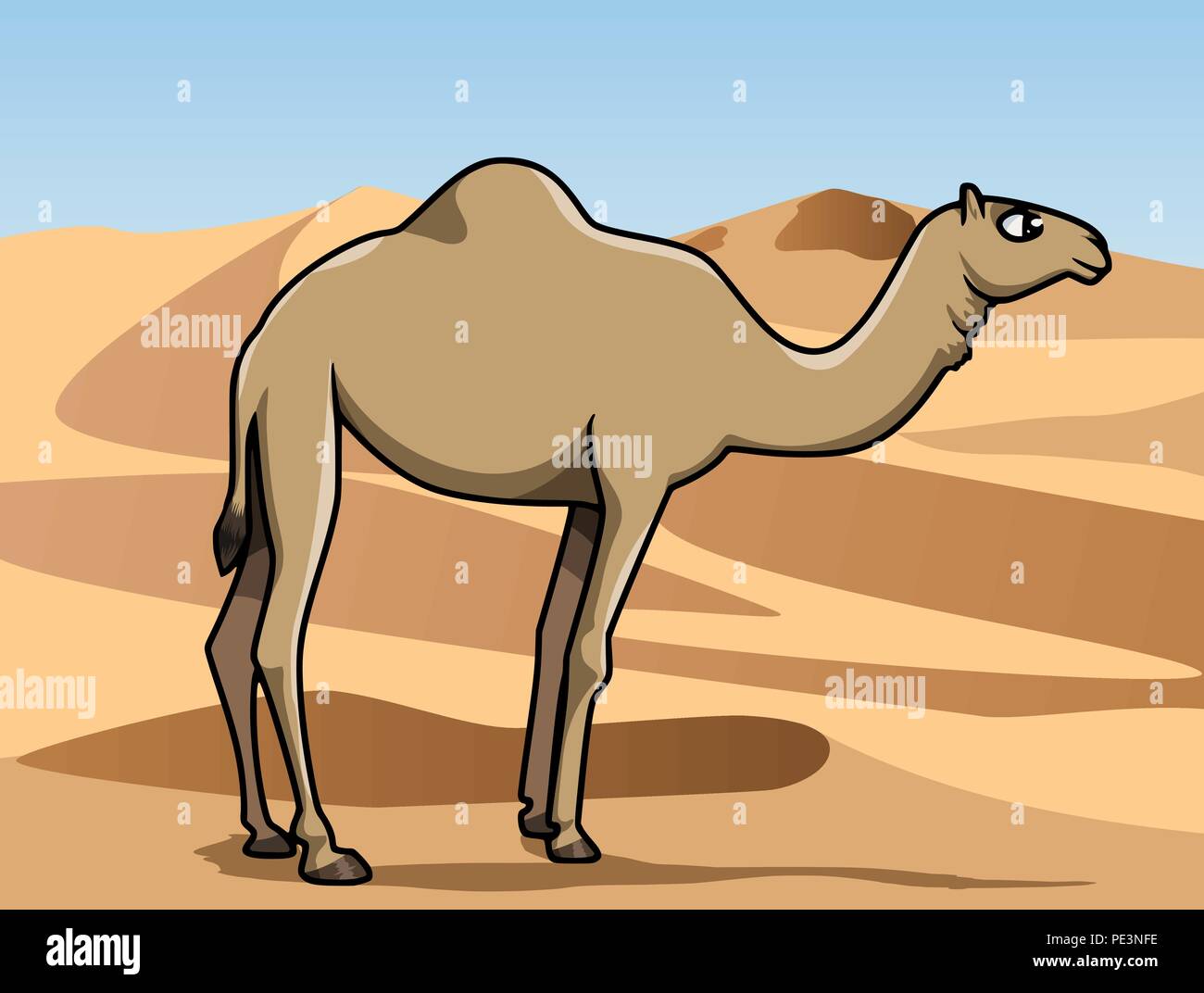 Cartoon-style illustration: a cute dromedary in the desert. Dunes on ...