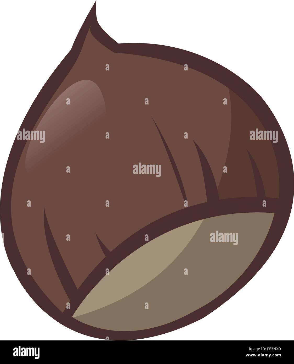 Illustration of a chestnut on white background - Isolated object Stock ...