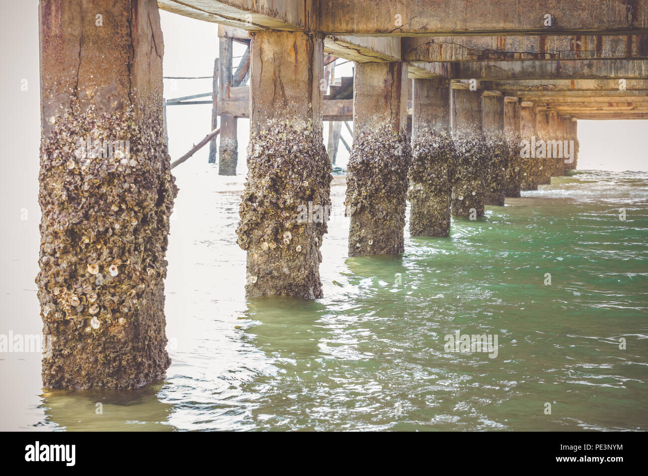 Under sea bridge hi-res stock photography and images - Alamy