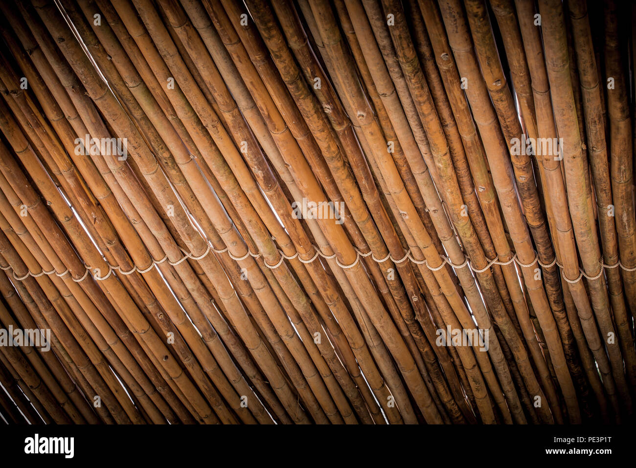 bamboo texture with natural patterns and space for a message Stock ...