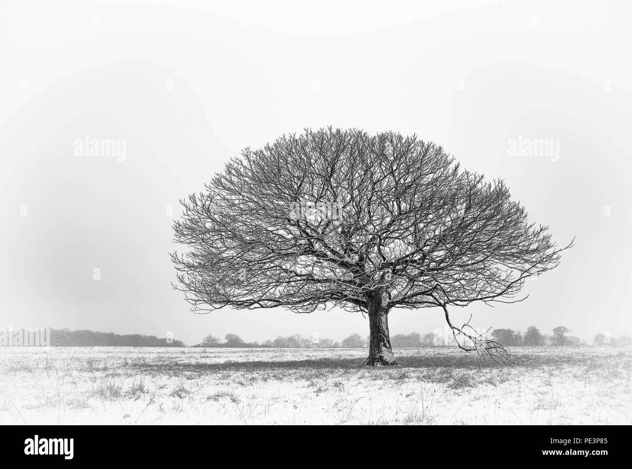 Freeze like Black and White Stock Photos & Images - Alamy