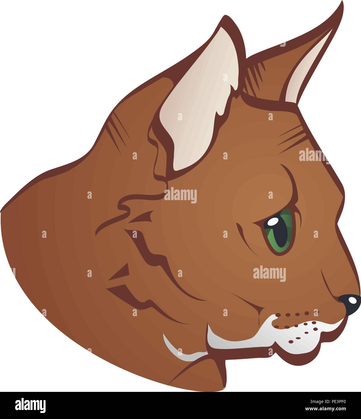 Animal face illustration Stock Vector Images - Alamy