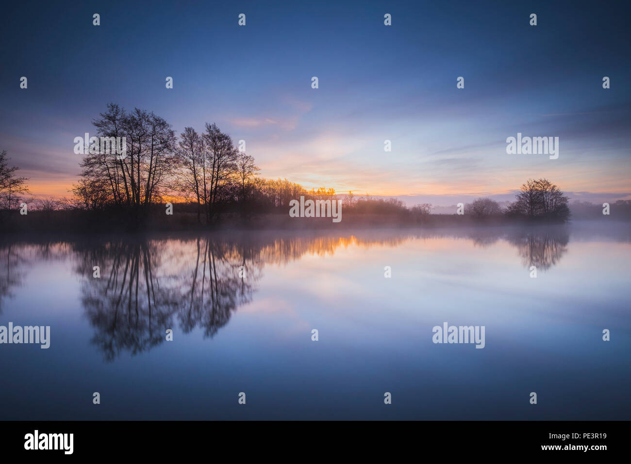 Trees reflecting in the still waters of the river Bure on a misty ...