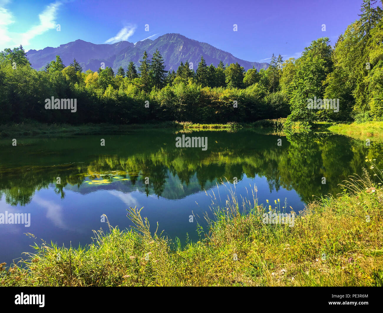 Idyllic lake in Bad Reichenhall, Bavarian Alps, Germany Stock Photo - Alamy