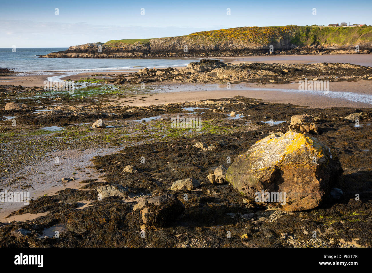 UK, Wales, Anglesey, Cemaes, bay, rocks at low tide Stock Photo - Alamy