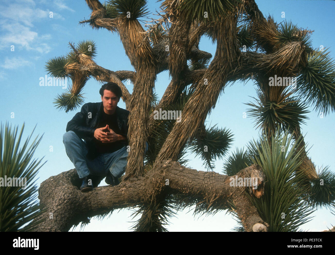 LOS ANGELES, CA - JUNE 15: (EXCLUSIVE) Actor Jeremy London poses at a ...