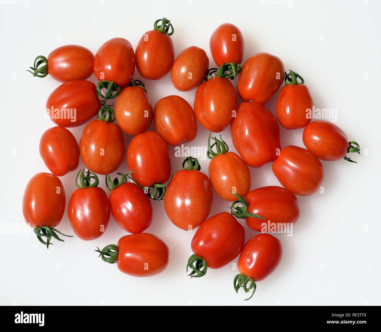 Pflaumen-Buschtomate, Romello, F1, Tomate, Lycopersicon, esculentum ...