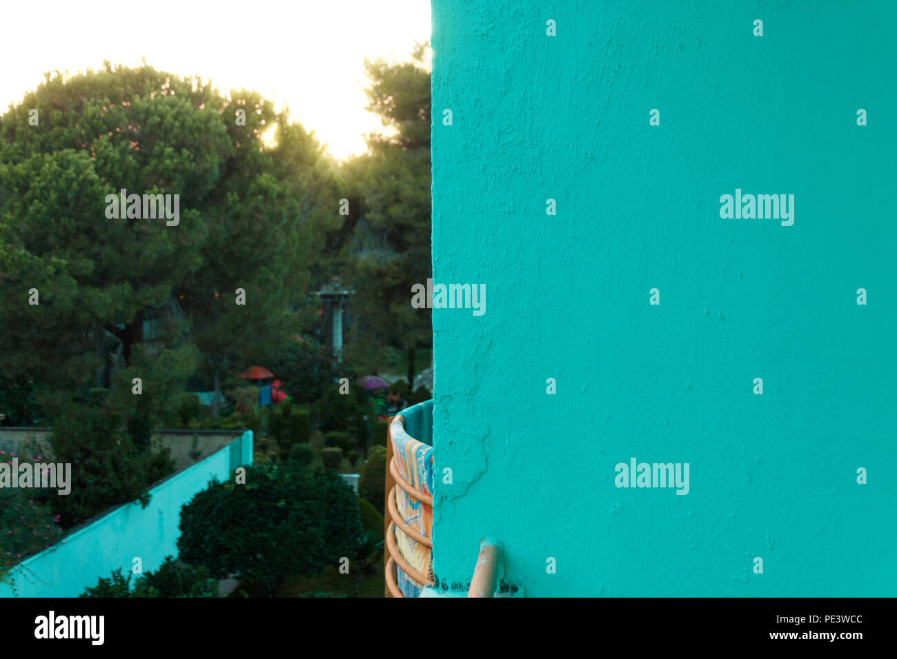 Tree in front of concrete wall hi-res stock photography and images - Alamy