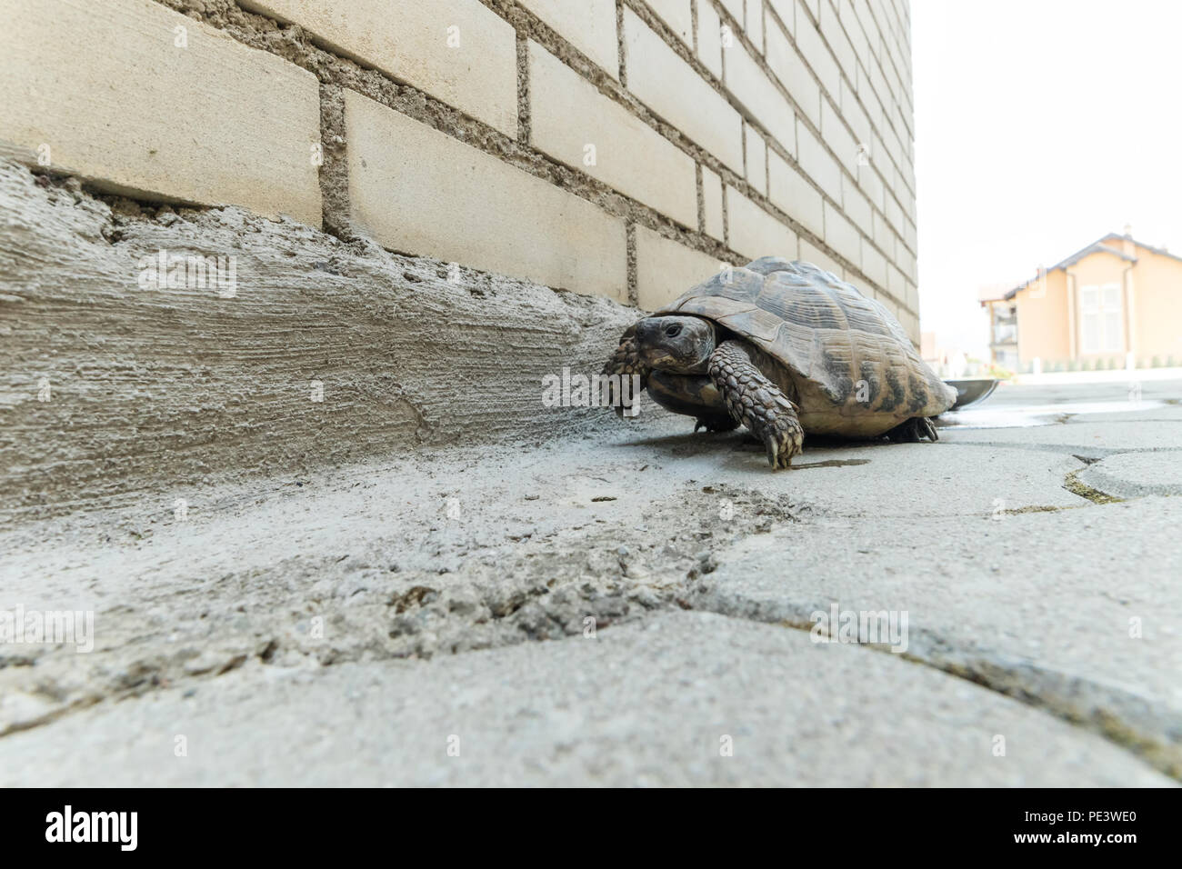 Ground purposeful hi-res stock photography and images - Alamy