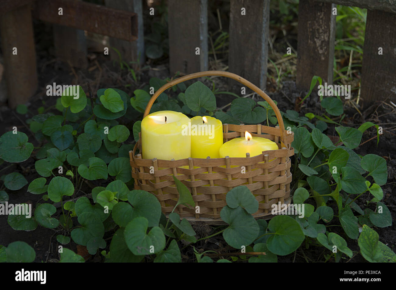 Wiccan altar hi-res stock photography and images - Alamy