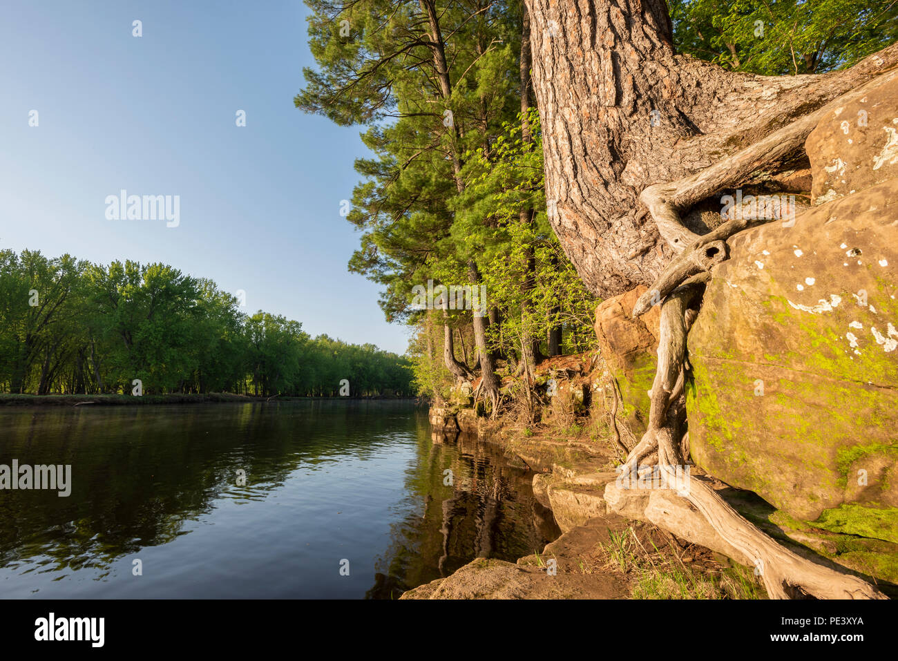 Exposed tree roots river bank hi-res stock photography and images - Alamy