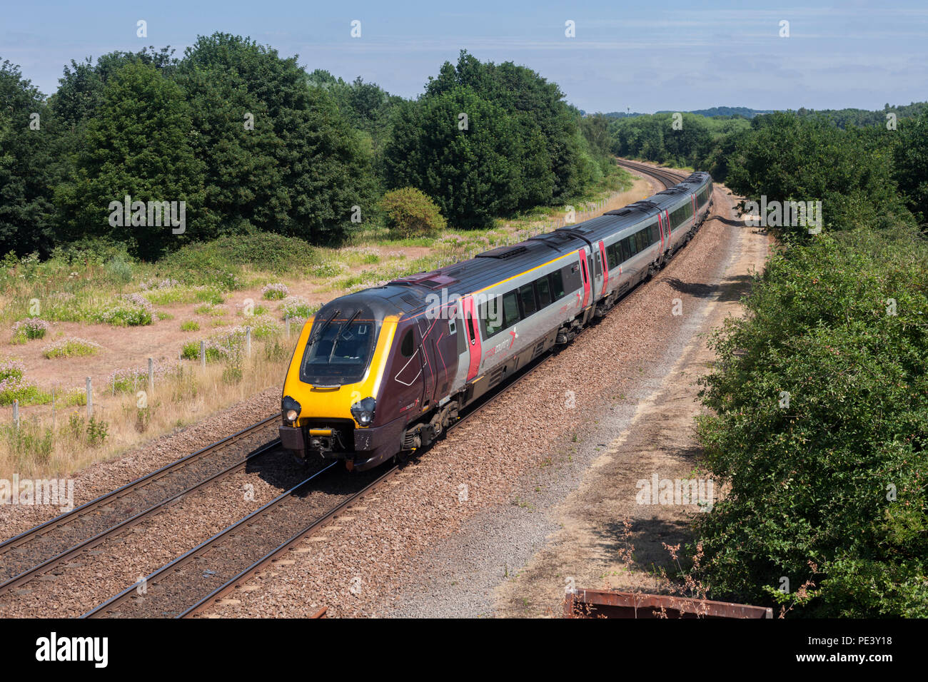 Are Dogs Allowed On Cross Country Trains