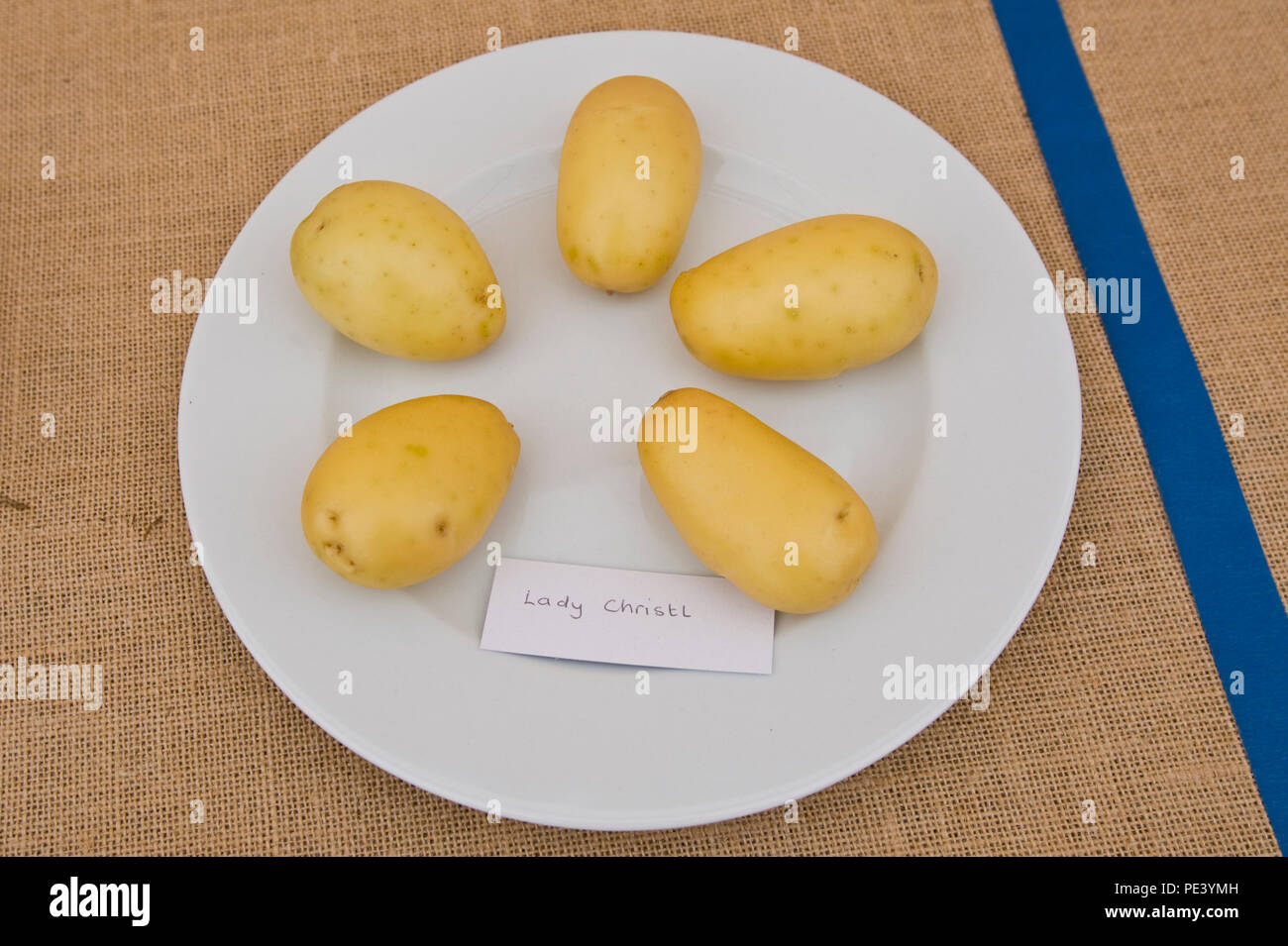 Lady Christl potatoes exhibited at RHS Tatton Park flower show Cheshire ...