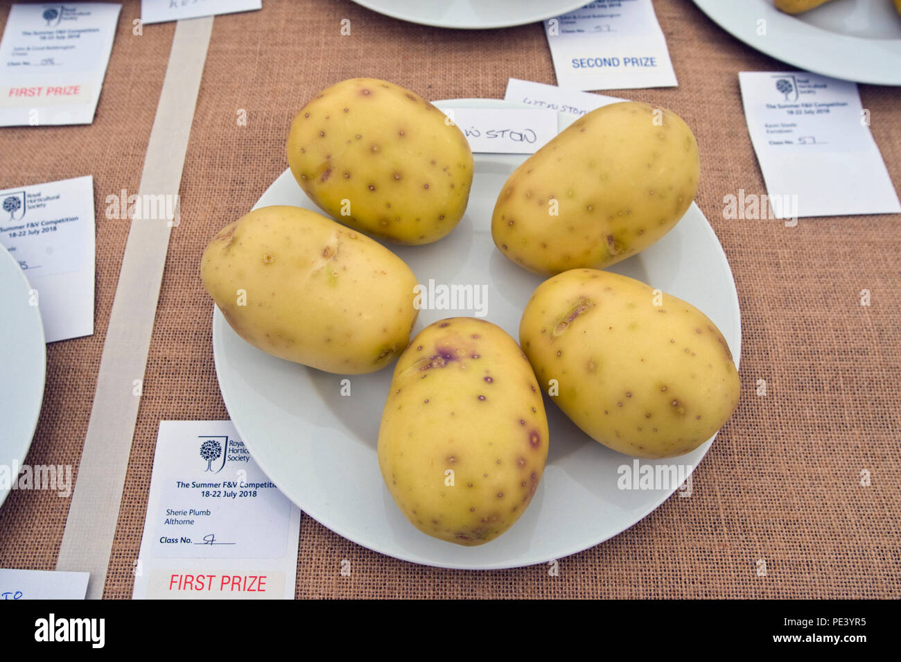 Prizewinning potatoes exhibited at RHS Tatton Park flower show Cheshire ...