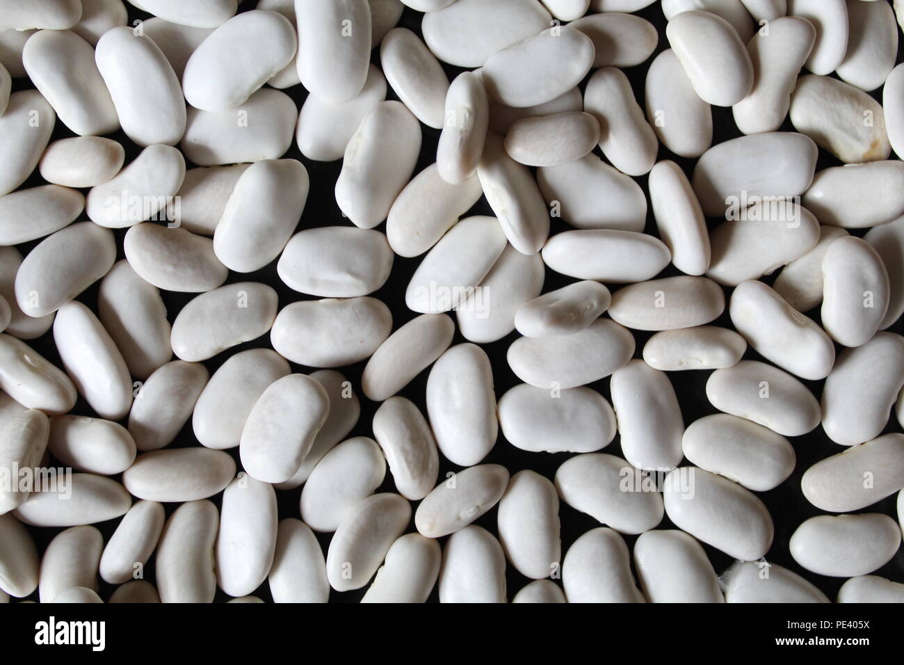 Full frame,close-up of white kidney beans/seeds background texture ...