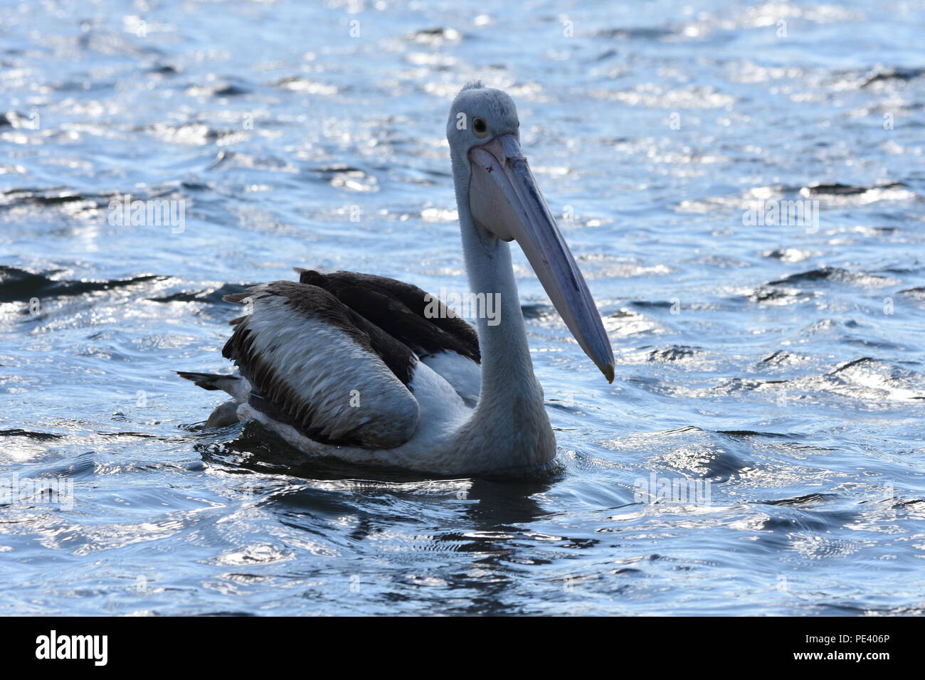 No edit hi-res stock photography and images - Alamy