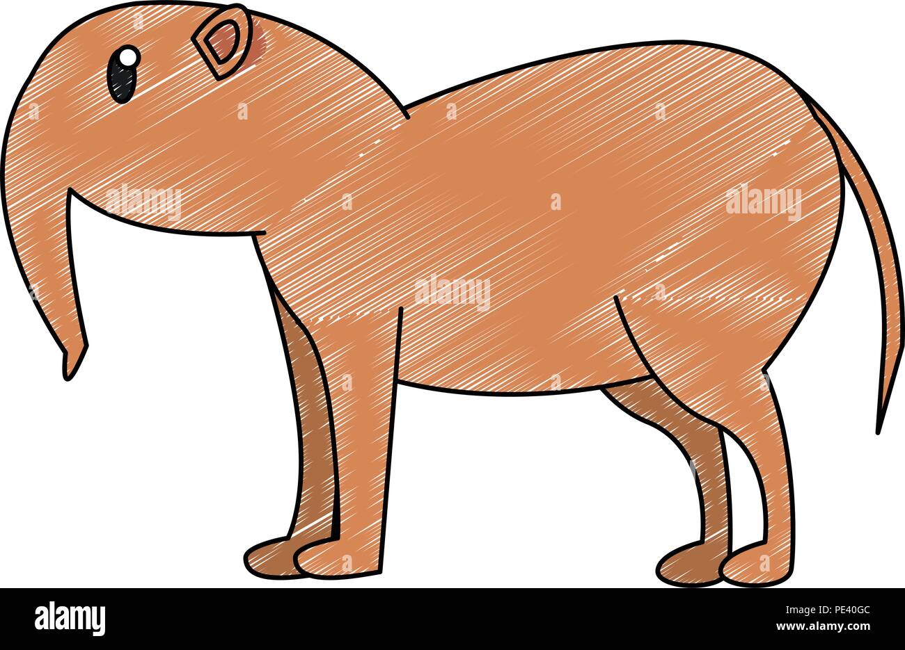 Anteater wild animal scribble Stock Vector Image & Art - Alamy
