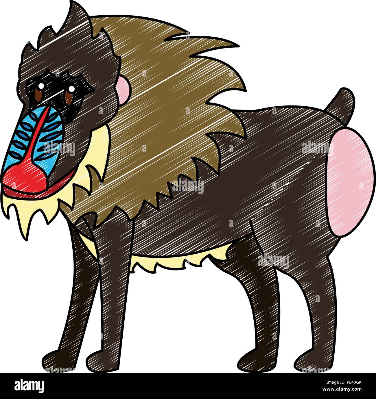 Mandrill group hi-res stock photography and images - Alamy