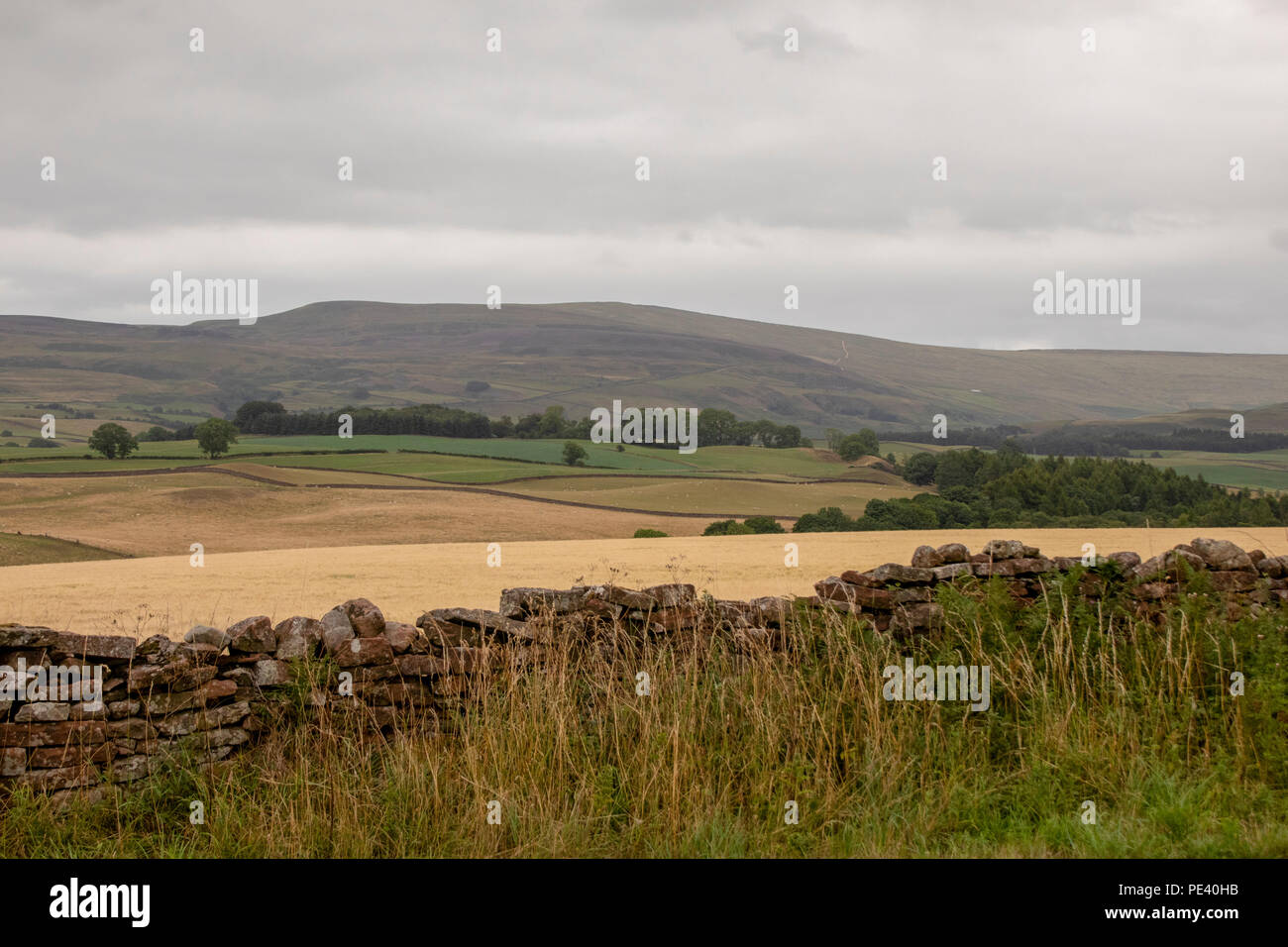 English countryside view green hi-res stock photography and images - Alamy