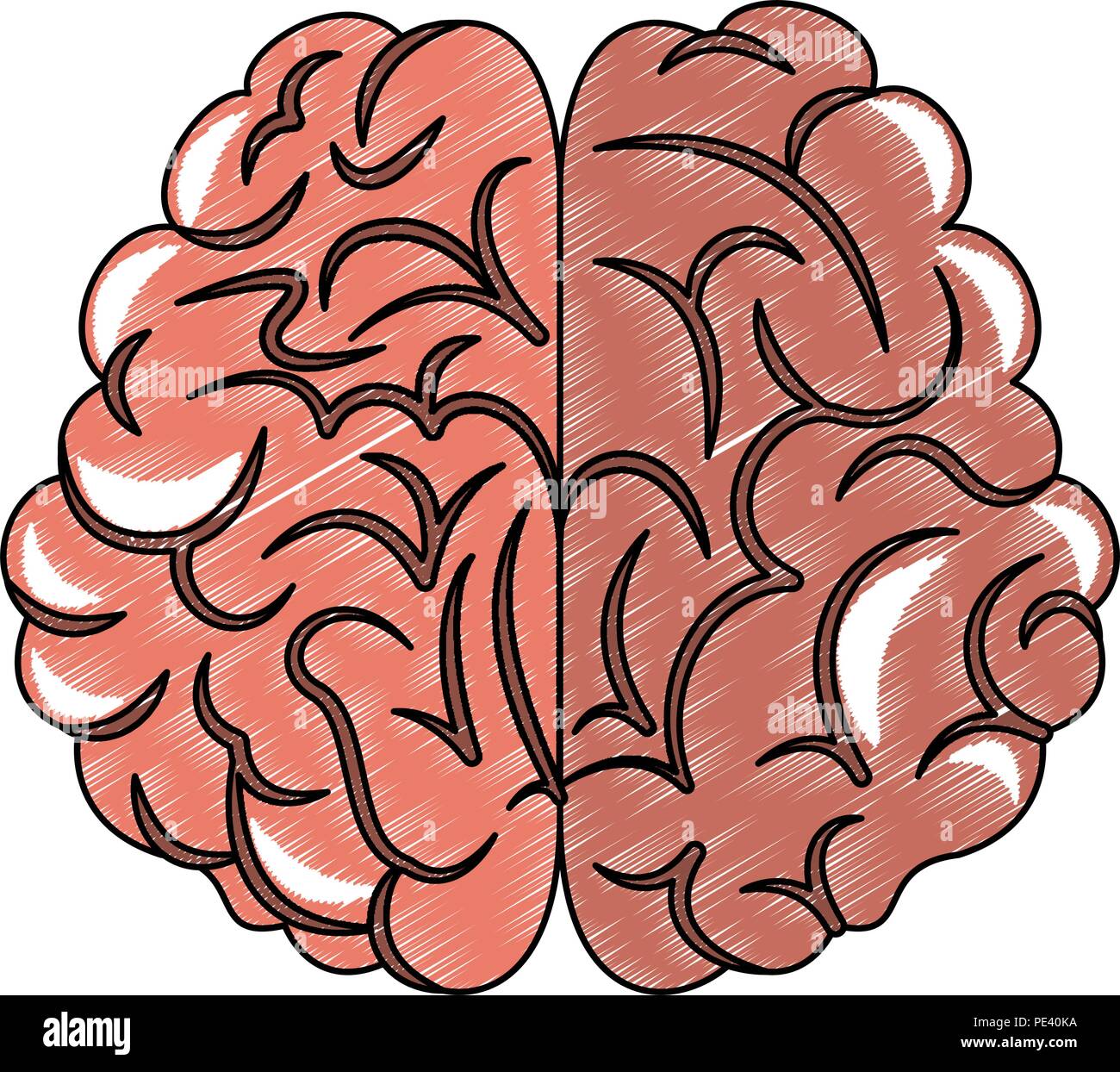 Human brain cartoon scribble Stock Vector Image & Art - Alamy