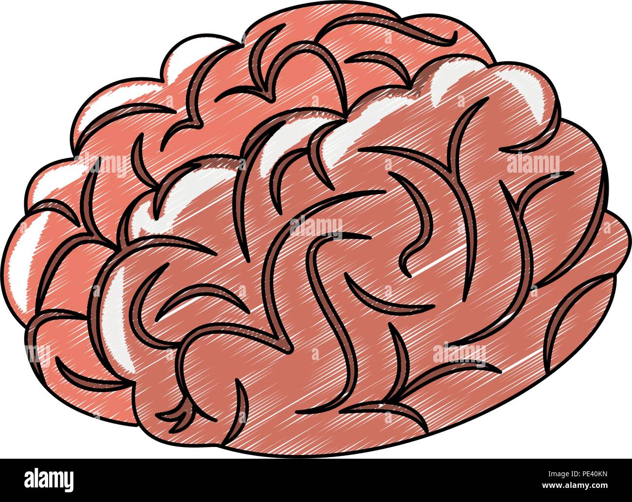 Human brain cartoon scribble Stock Vector Image & Art - Alamy