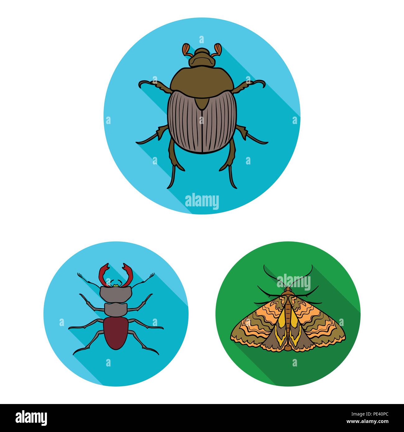 Different kinds of insects flat icons in set collection for design ...