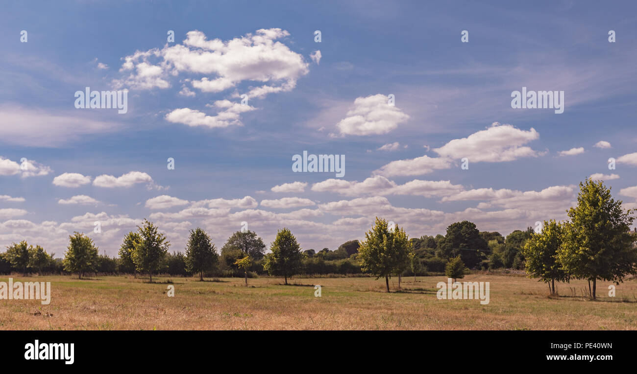 Wide angle idyllic picture of countryside, with blue, cloudy sky in the ...