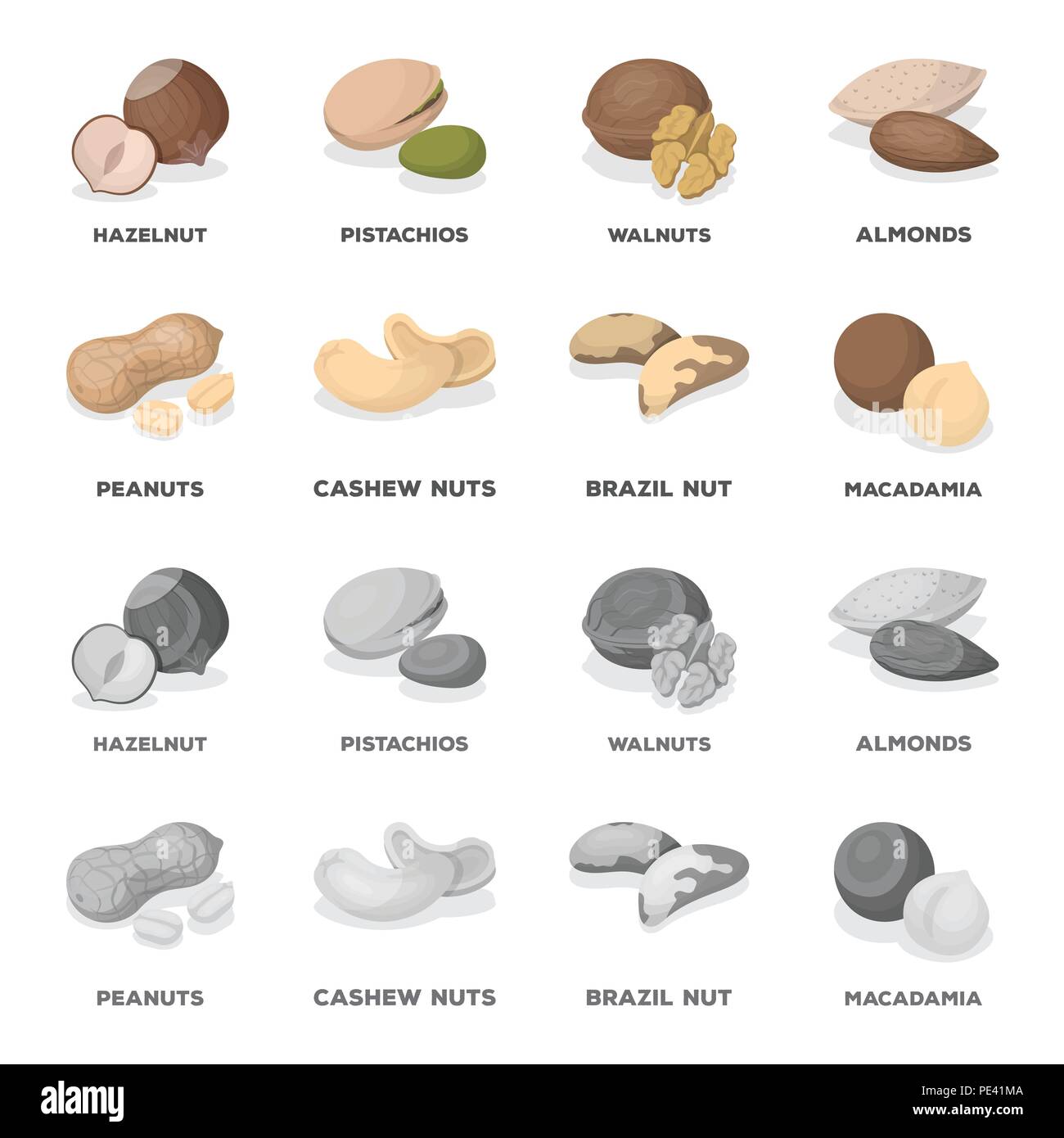 Peanuts, cashews, brazil nuts, macadamia.Different kinds of nuts set ...
