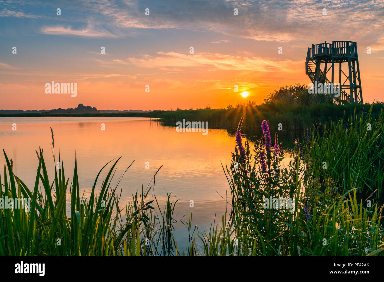 Kolham hi-res stock photography and images - Alamy