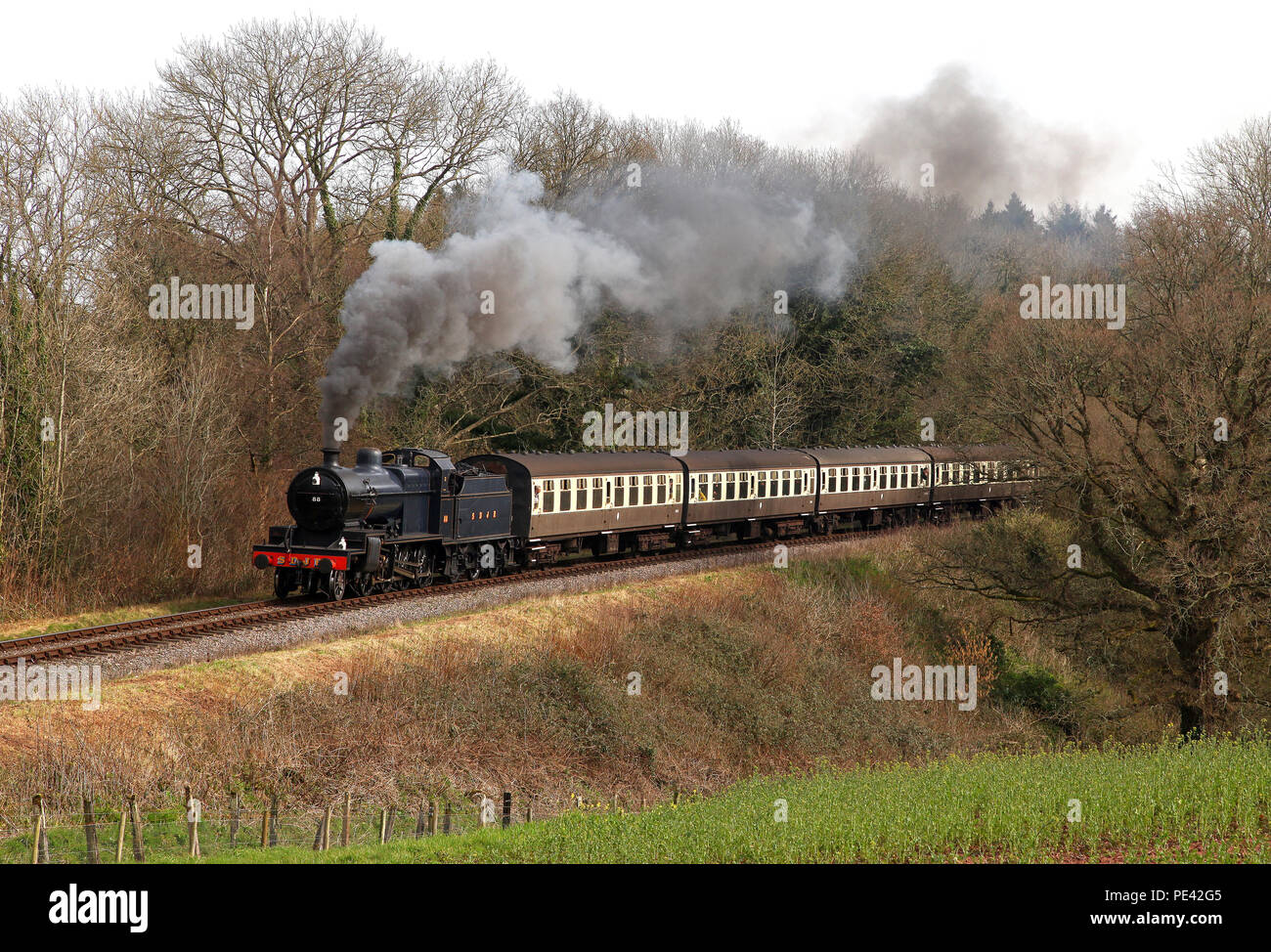Crowcombe High Resolution Stock Photography and Images - Alamy