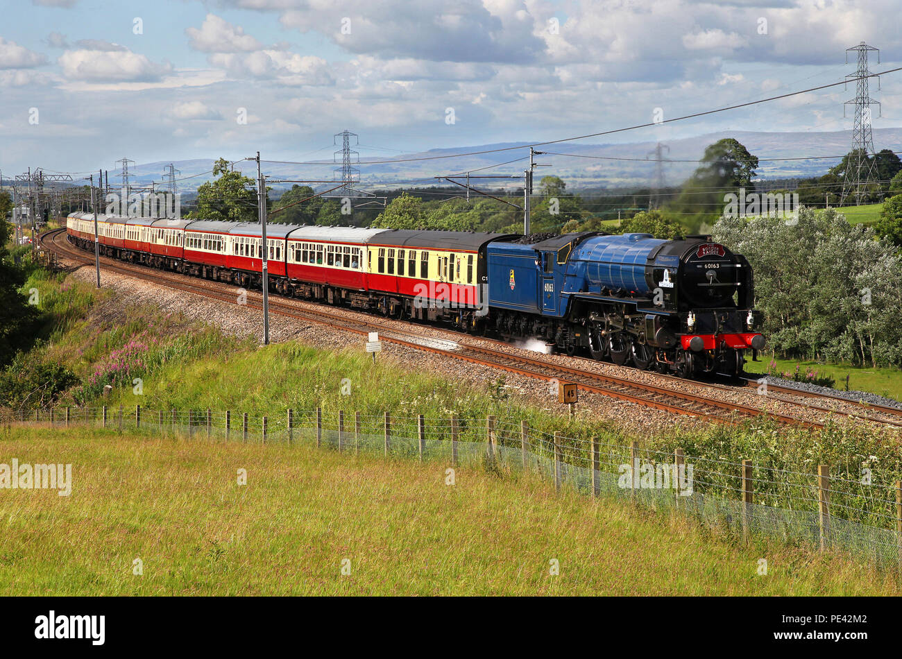 Great strickland hi-res stock photography and images - Alamy
