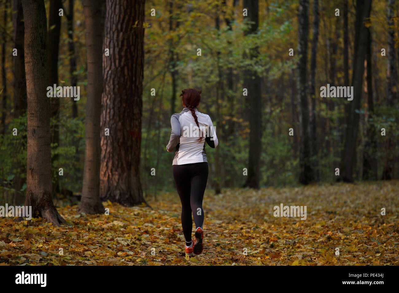 Woman athlete running in forest hi-res stock photography and images - Alamy