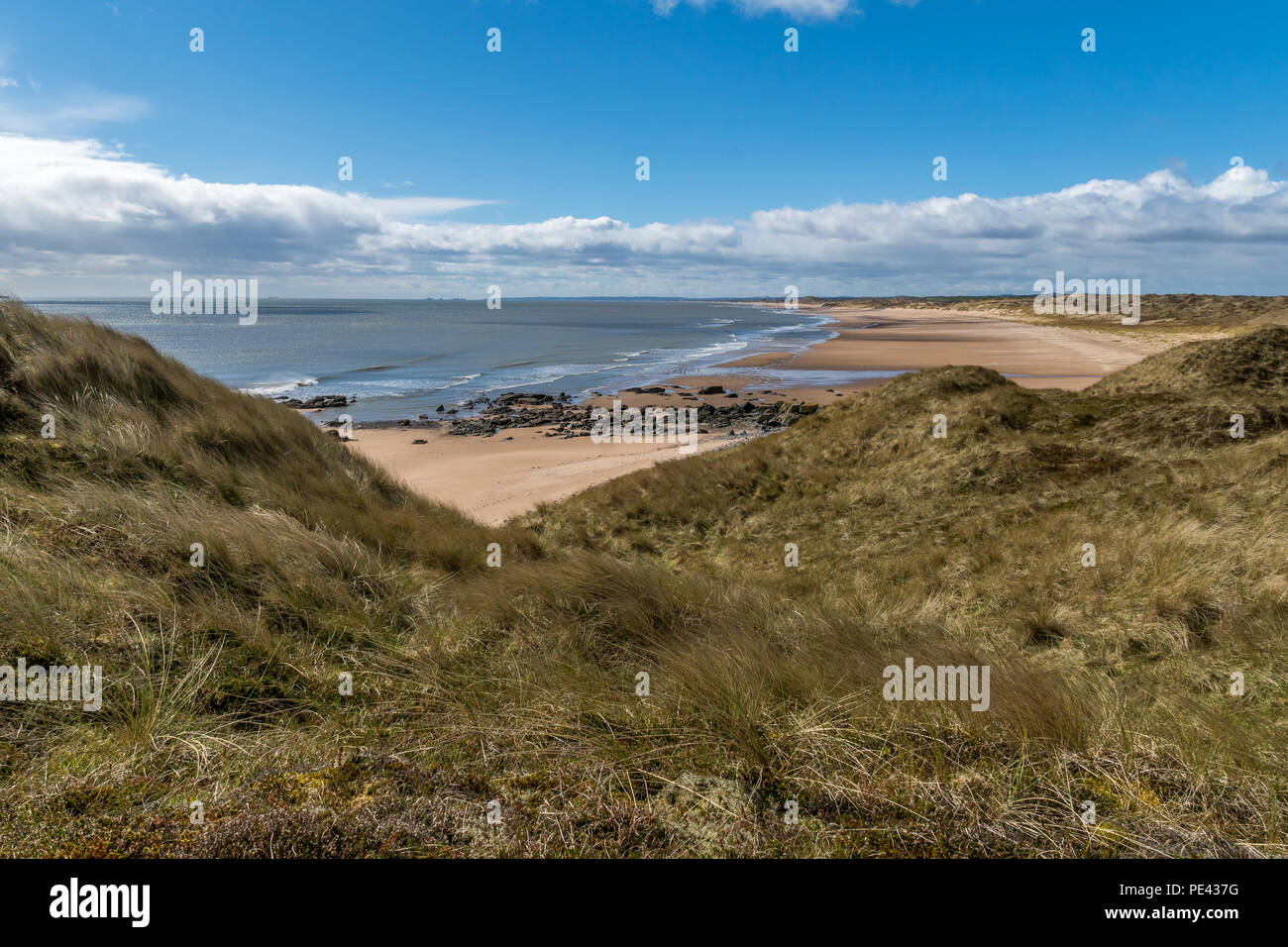 Forvie sands dunes hi-res stock photography and images - Alamy