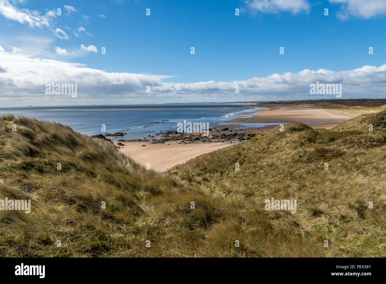 Forvie Sands viewed from Forvie nature reserve Stock Photo - Alamy