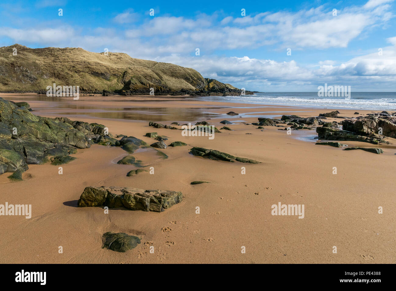 Hackley Bay beach and bay Stock Photo - Alamy