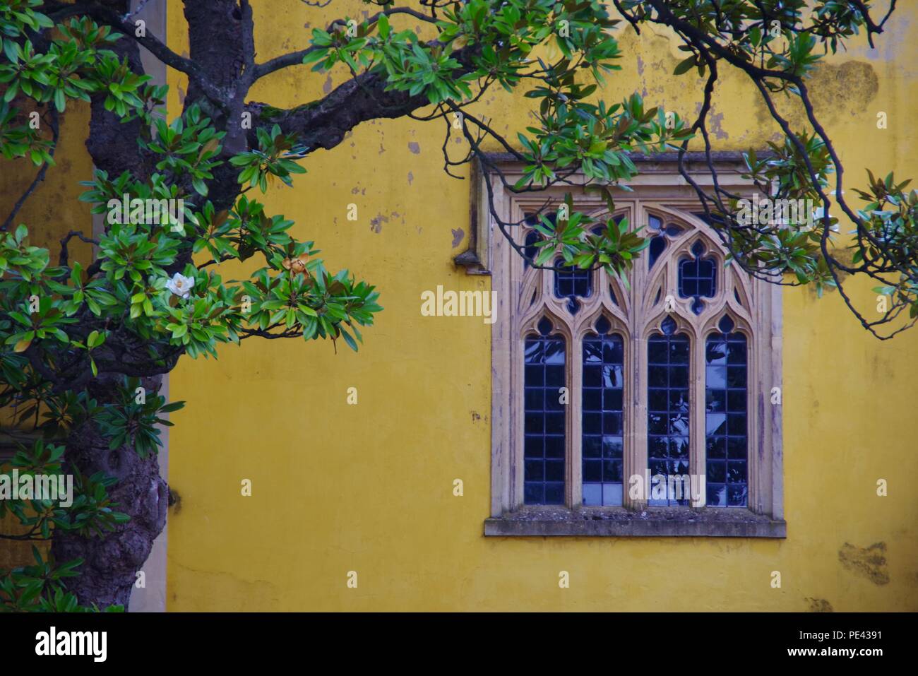 Ornate Some Gothic Window Under an overhanging Tree Branch. Ashton ...