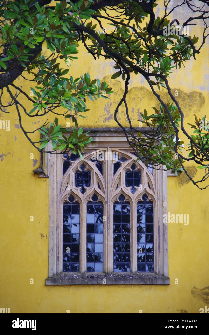 Ornate Some Gothic Window Under an overhanging Tree Branch. Ashton ...
