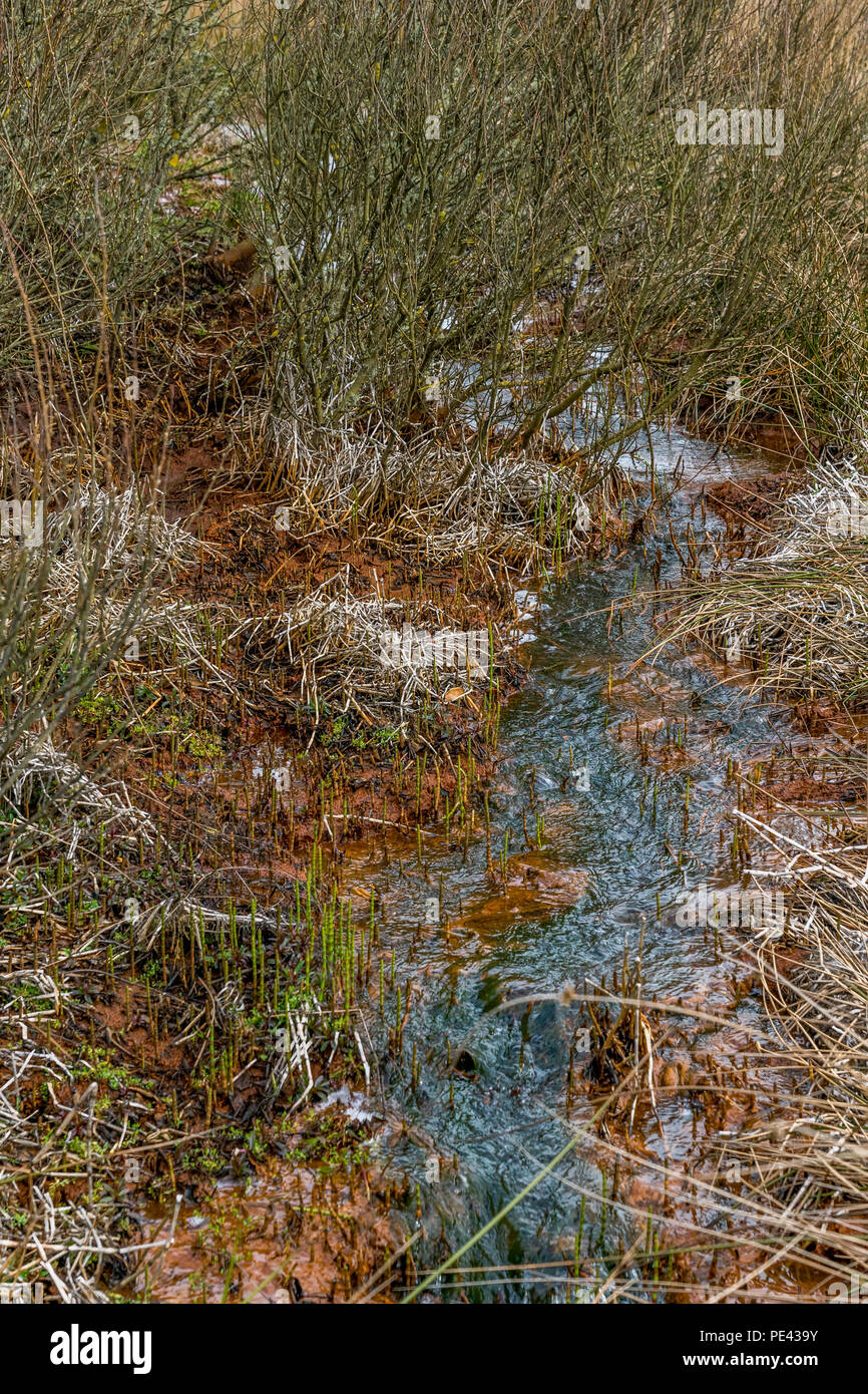 Red banks reserve hi-res stock photography and images - Alamy