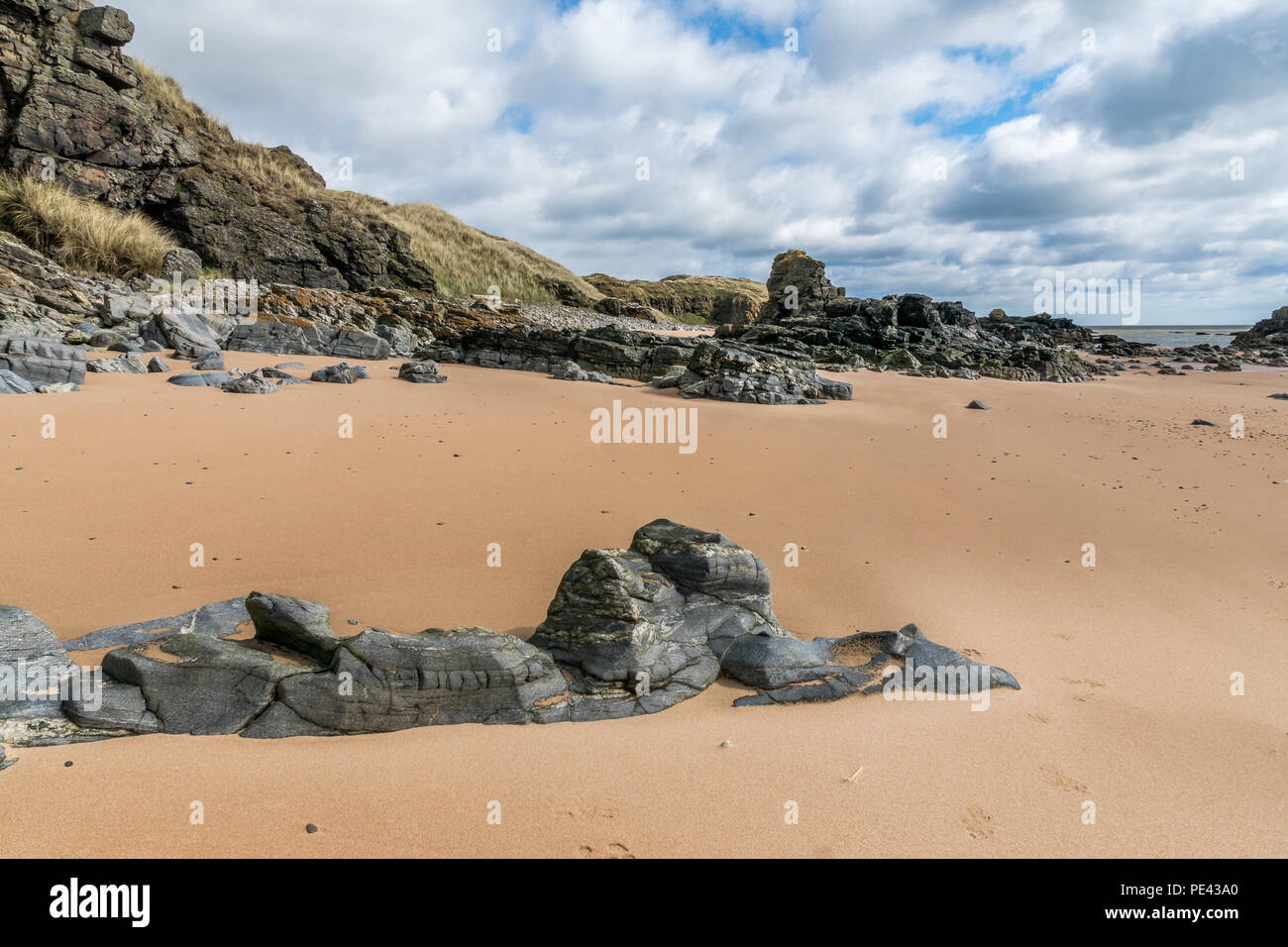 Forvie reserve hi-res stock photography and images - Alamy