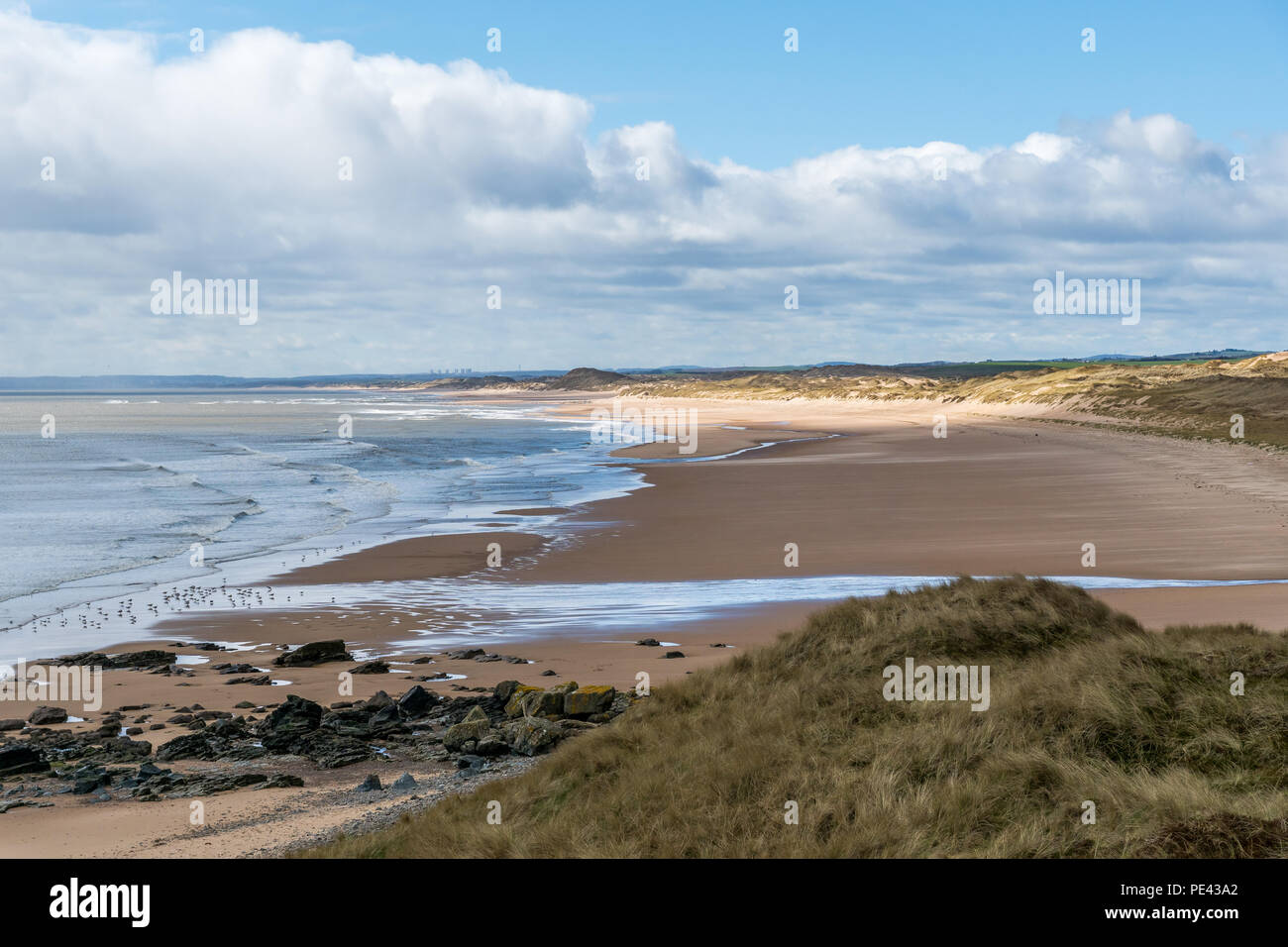 Forvie reserve hi-res stock photography and images - Alamy