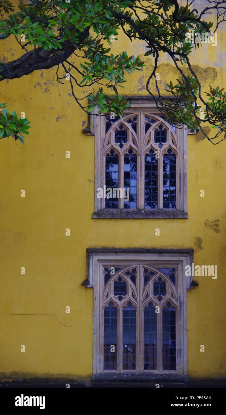 Ornate Some Gothic Windows Under an overhanging Tree Branch. Ashton ...