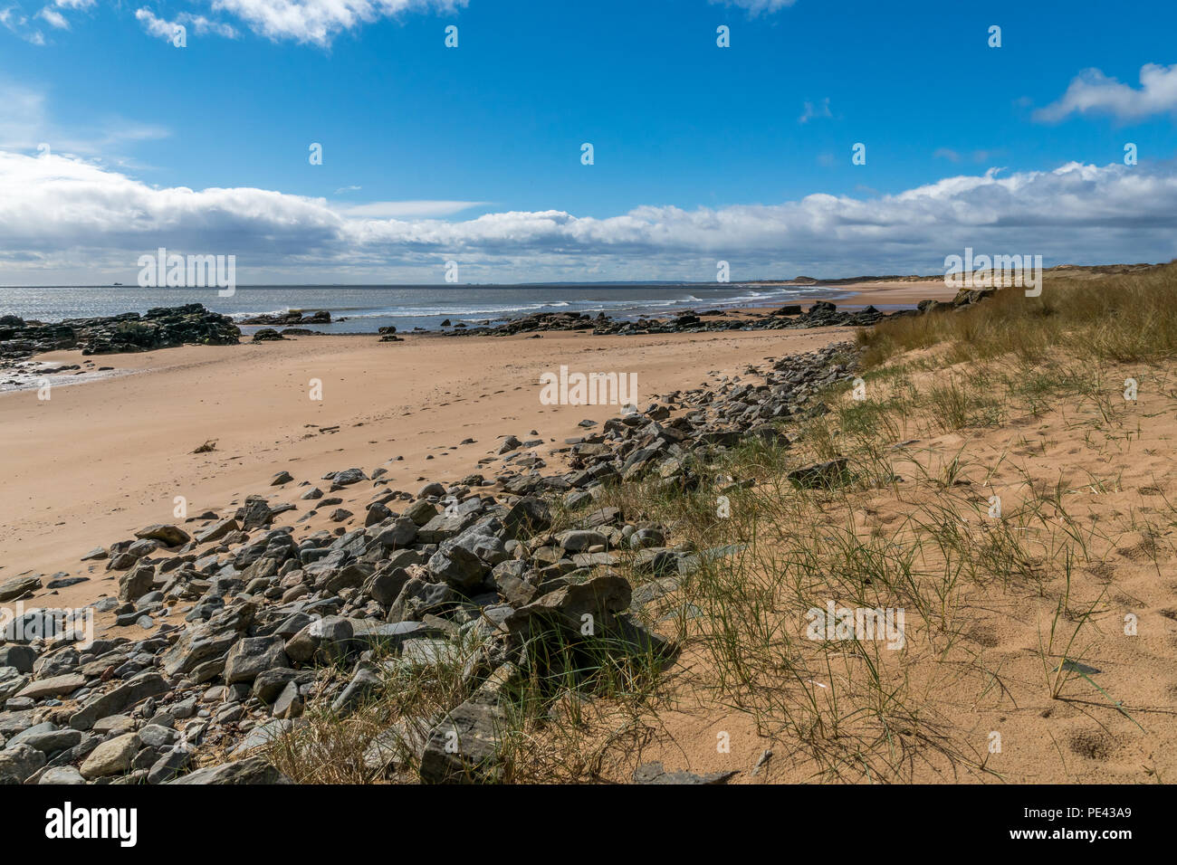 Forvie Sands grass and beach Stock Photo - Alamy